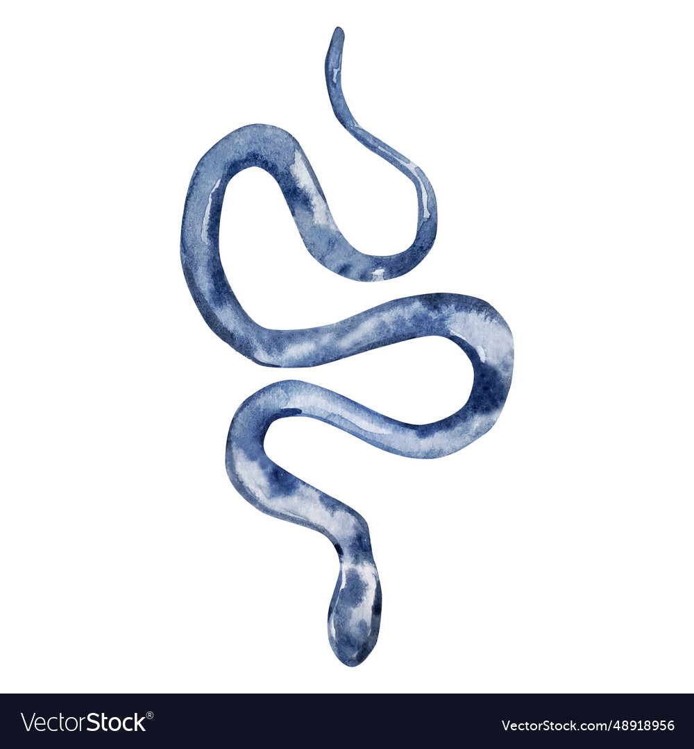 Watercolor blue snake Royalty Free Vector Image