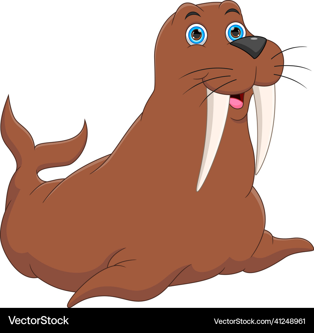 Cartoon cute walrus isolated on white background Vector Image