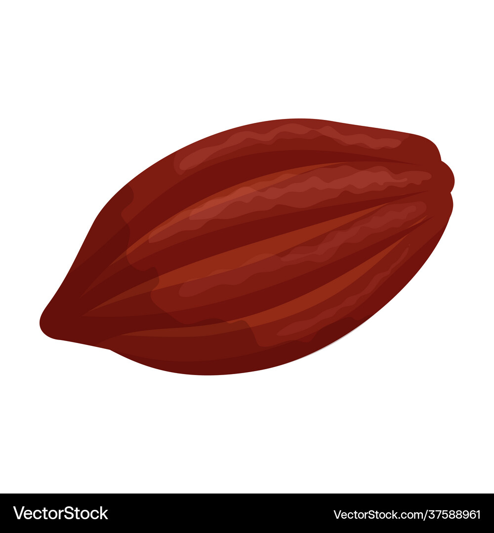 Cocoa bean isolated cartoon icon Royalty Free Vector Image