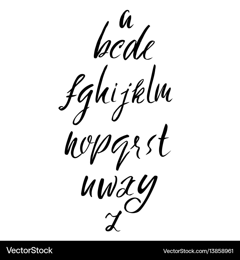Hand drawn font modern brush lettering elegant Vector Image