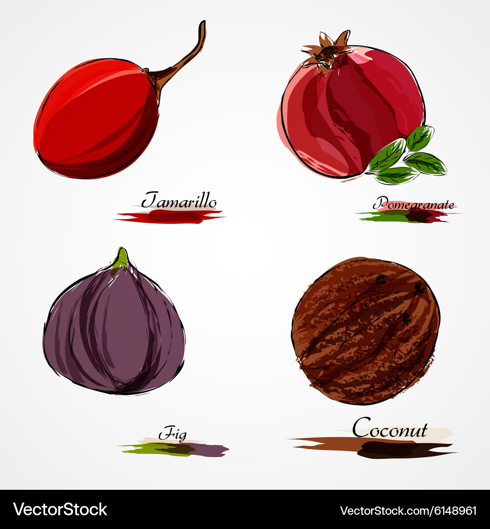 Set of fruits Royalty Free Vector Image - VectorStock