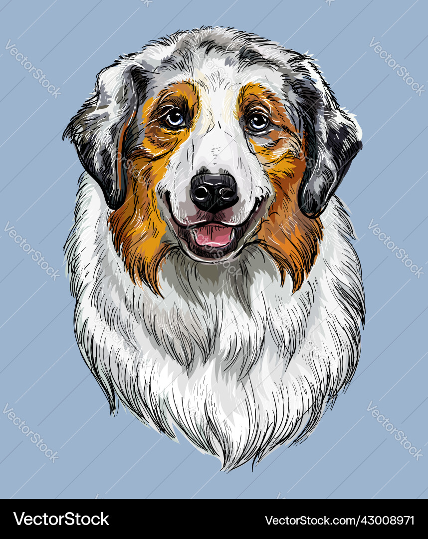 How To Draw A Shepherd Dog