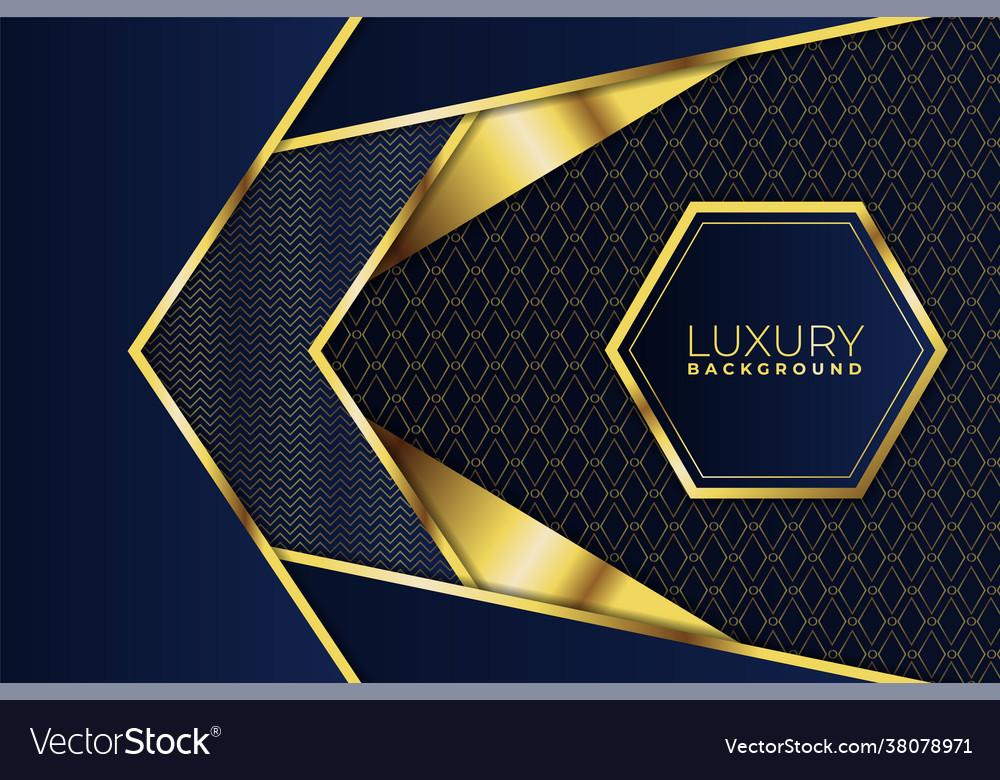 Premium modern luxury abstract geometric blue Vector Image