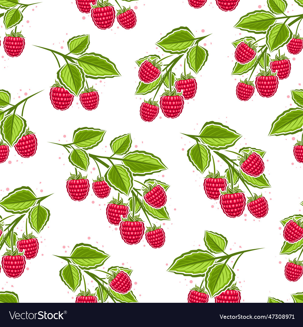 Raspberry branches Royalty Free Vector Image - VectorStock