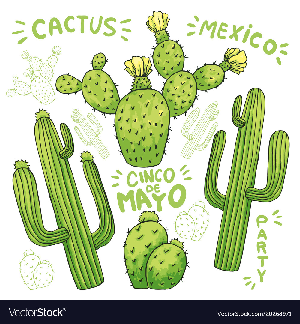 Set of edible cactus or cacti for cinco de mayo Vector Image