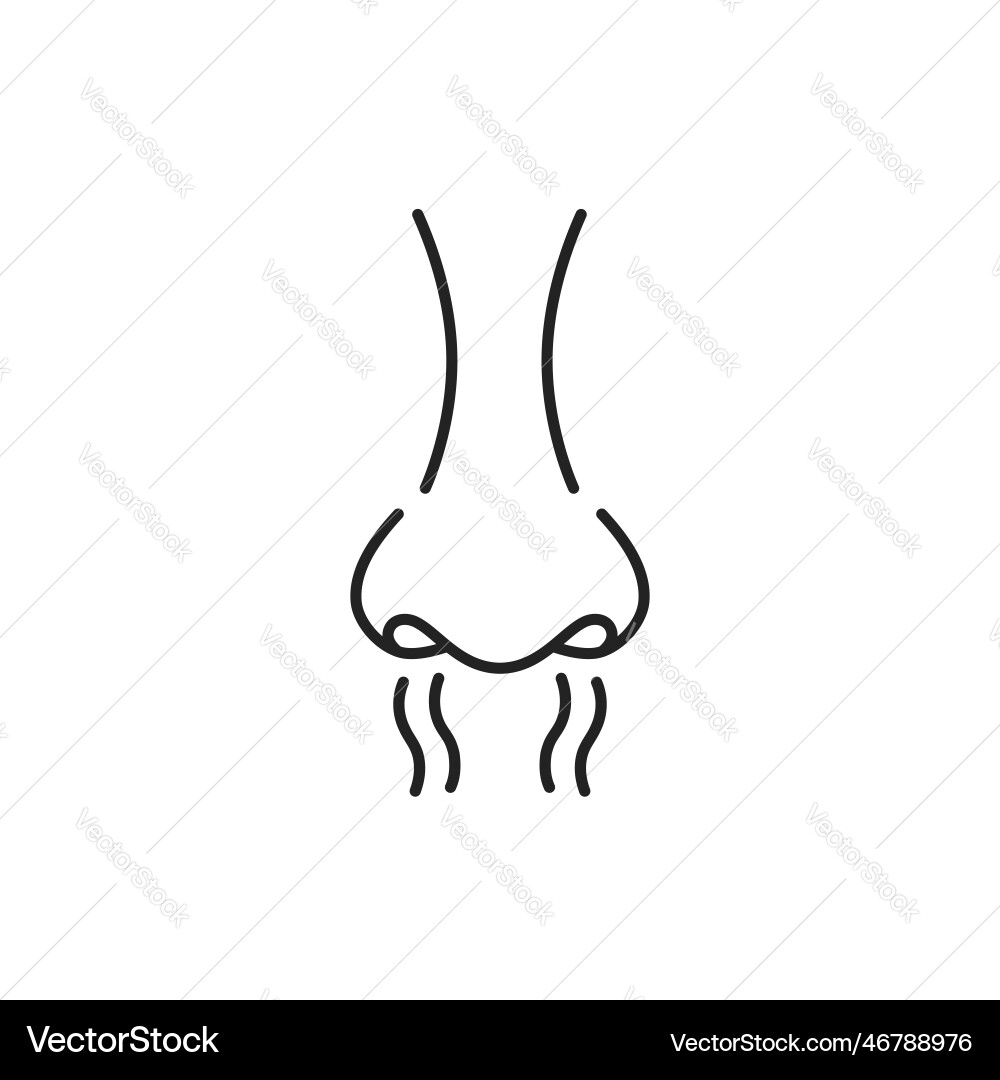 Black thin line nose icon with smell or breath Vector Image