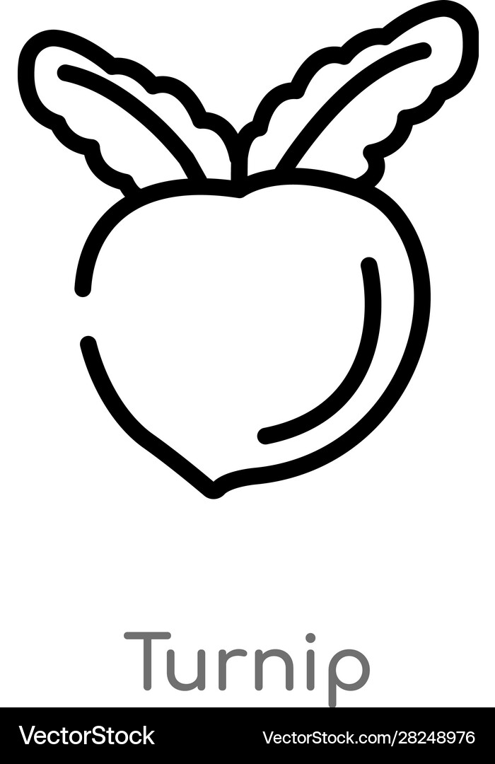 Outline turnip icon isolated black simple line Vector Image