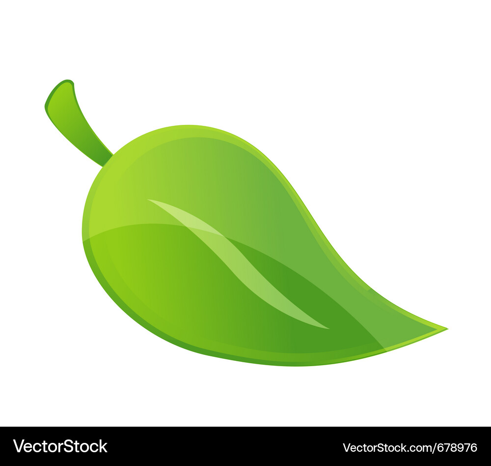 Shiny leaf symbol Royalty Free Vector Image - VectorStock