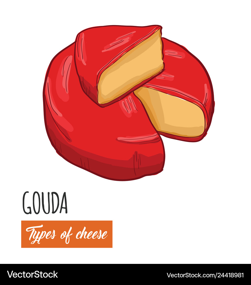 Hand drawn colorful gouda cheese Royalty Free Vector Image