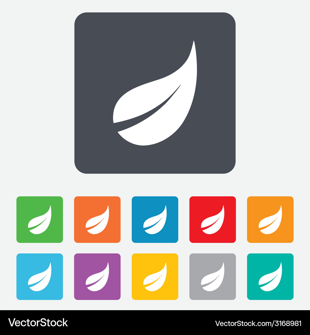 Leaf sign icon fresh product symbol Royalty Free Vector