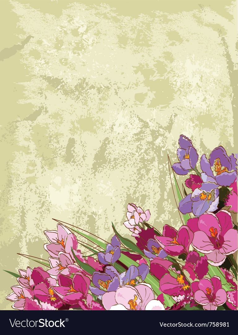 Spring flowers Royalty Free Vector Image - VectorStock