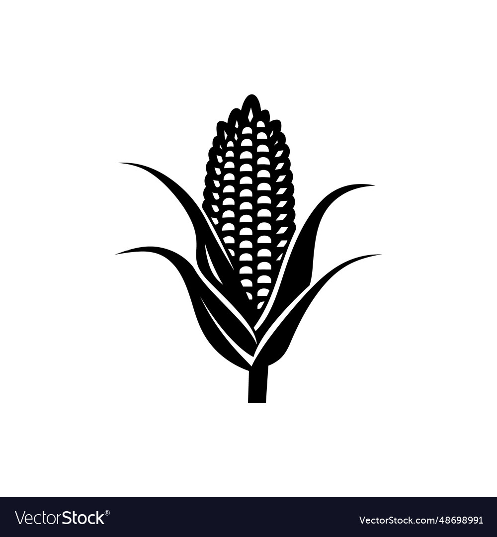 Corn icon Royalty Free Vector Image - VectorStock
