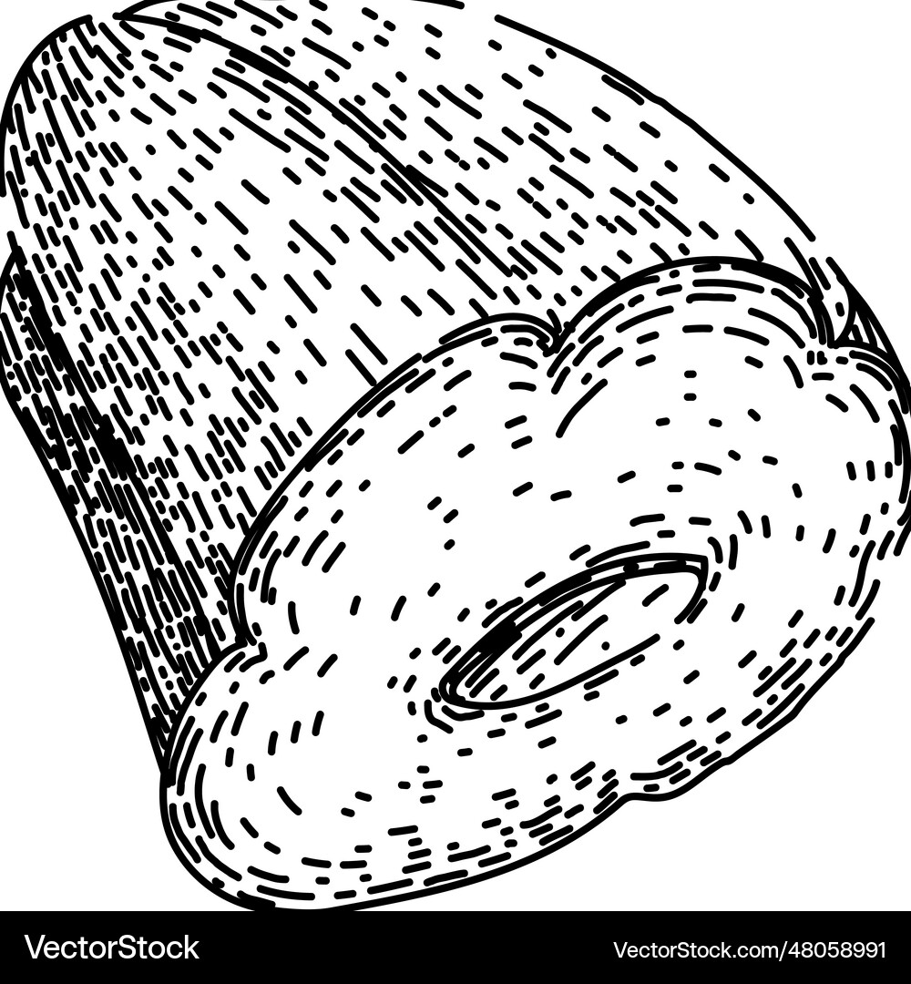 Fresh chayote healthy sketch hand drawn Royalty Free Vector