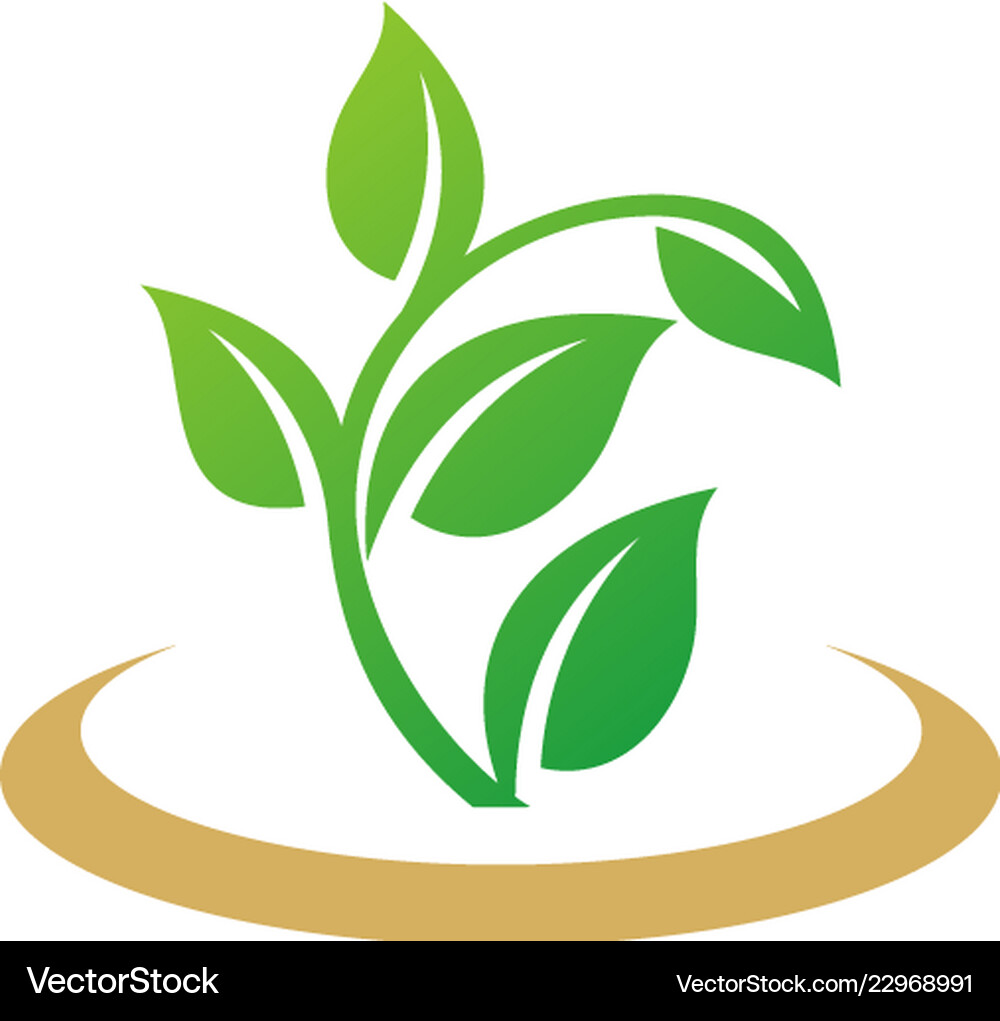 Plant organic green leaf logo Royalty Free Vector Image