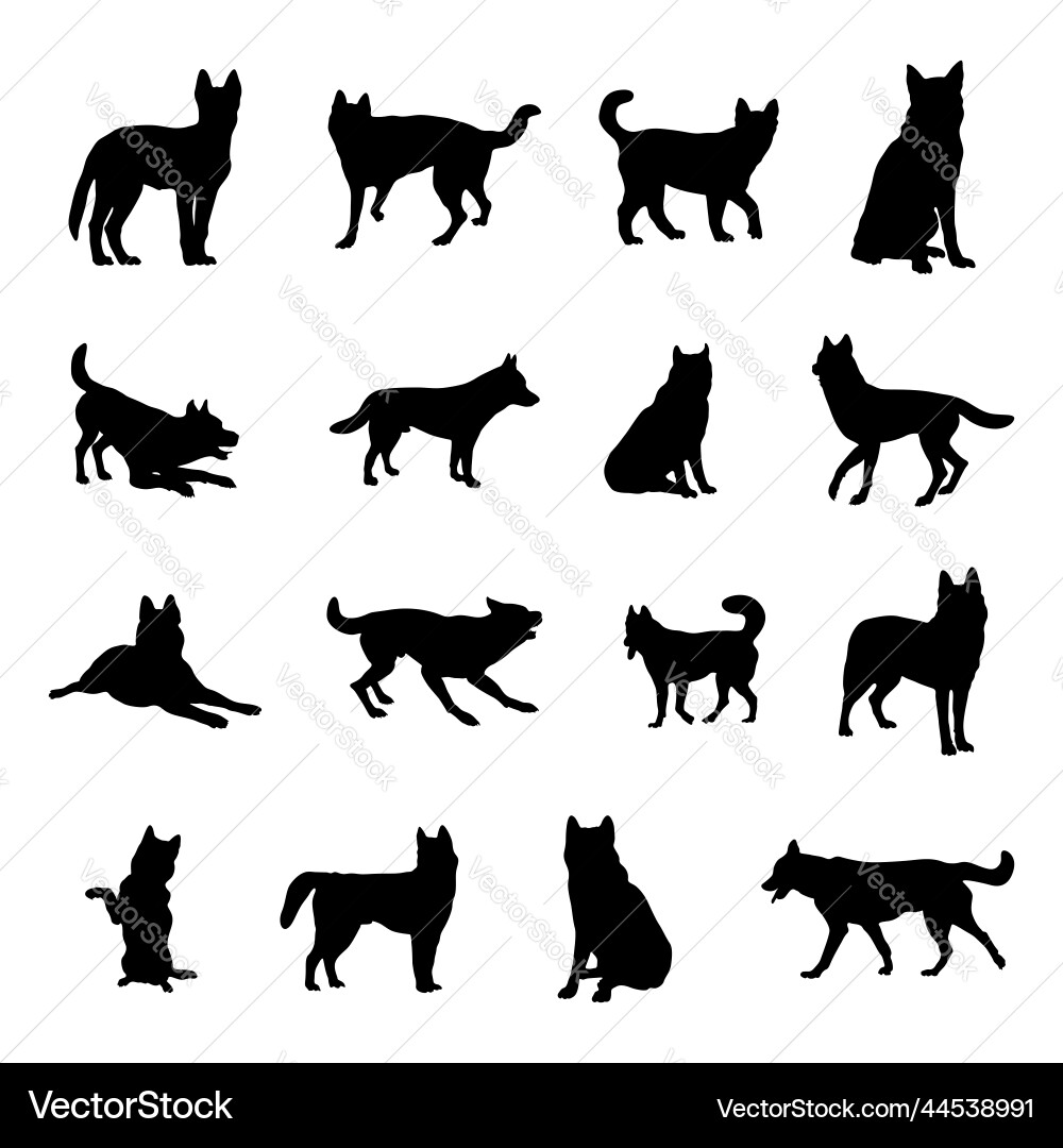 Siberian husky dog silhouettes Royalty Free Vector Image