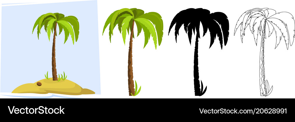 Tropical palm trees of a palm tree Royalty Free Vector Image