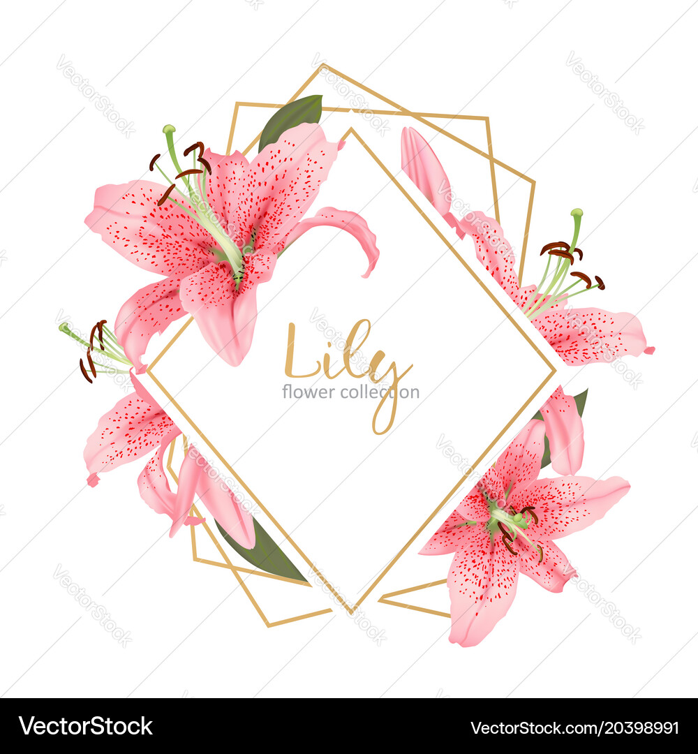 Wedding invitation with lily flowers Royalty Free Vector
