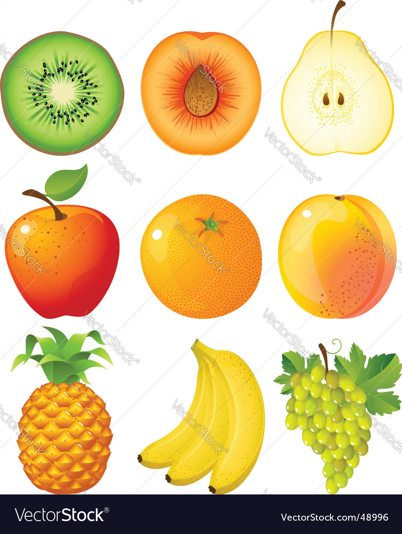 Fruit Royalty Free Vector Image - VectorStock