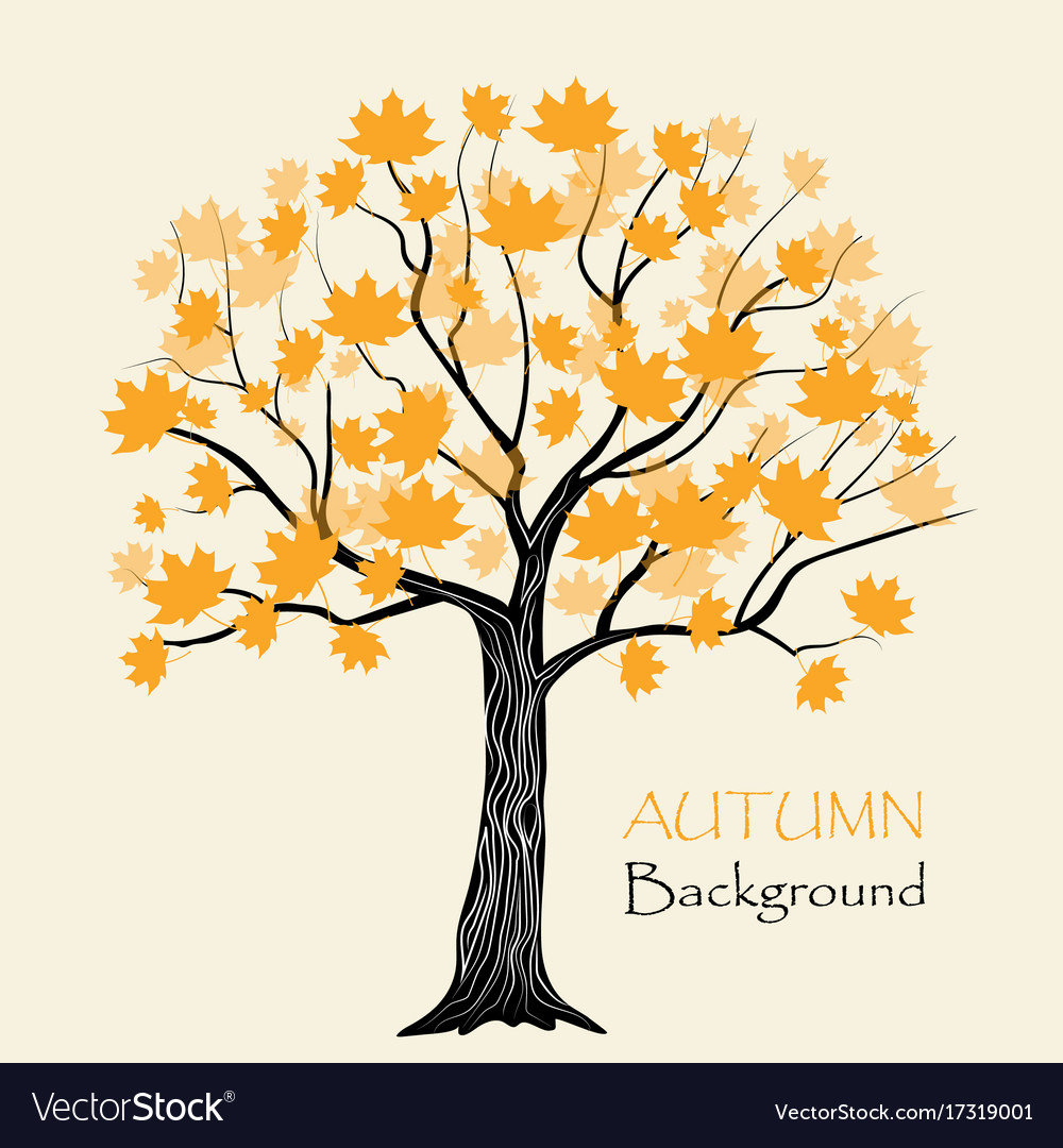 Autumn maple tree Royalty Free Vector Image - VectorStock