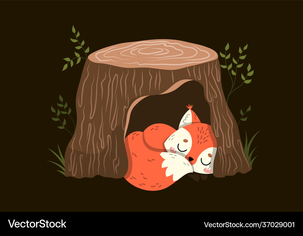 Cute little red fox sleeping in a hollow tree Vector Image