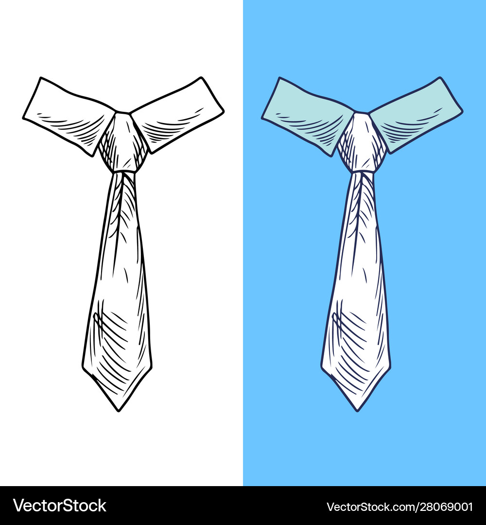 Set knotted male ties hand drawn Royalty Free Vector Image