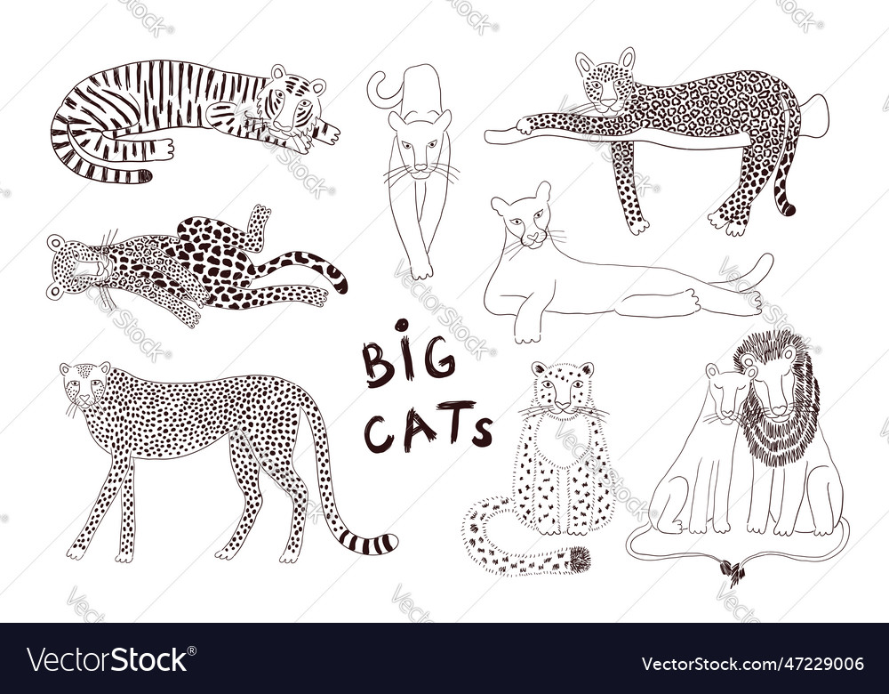 Big cats isolated collection black and white Vector Image