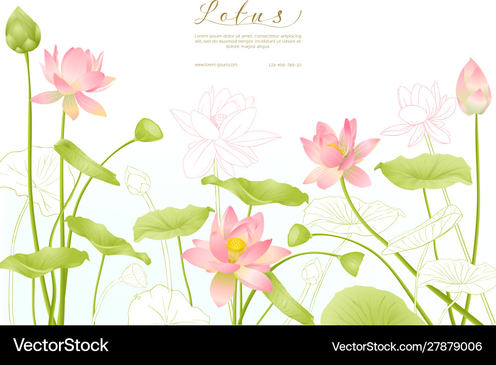 Lotus flowers template for wedding invitation Vector Image