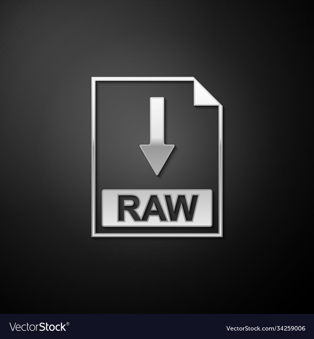 Silver raw file document icon download raw button Vector Image