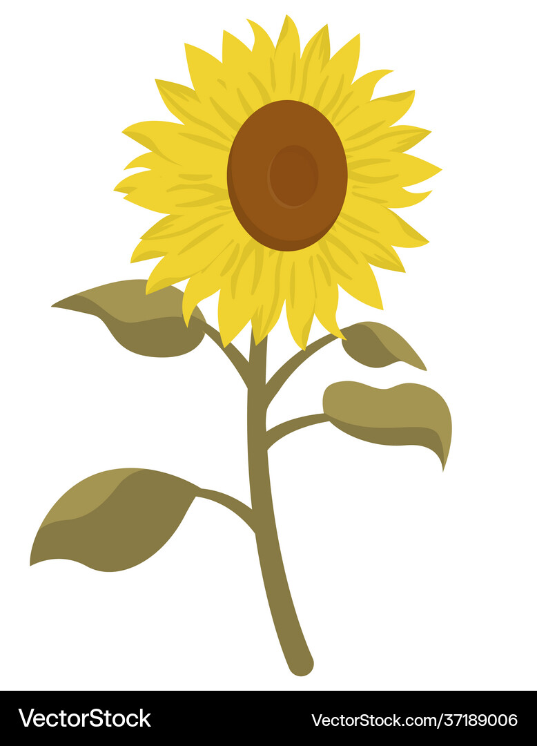 Sunflower in cartoon style Royalty Free Vector Image
