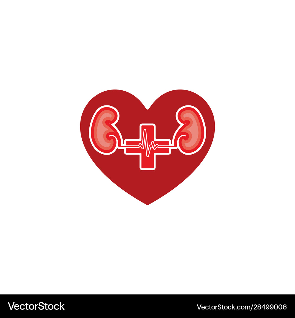 Symbol love for kidneys Royalty Free Vector Image