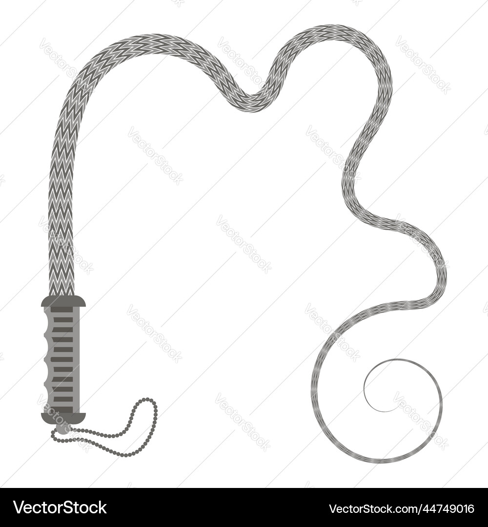 Grey leather whip icon isolated on a white Vector Image