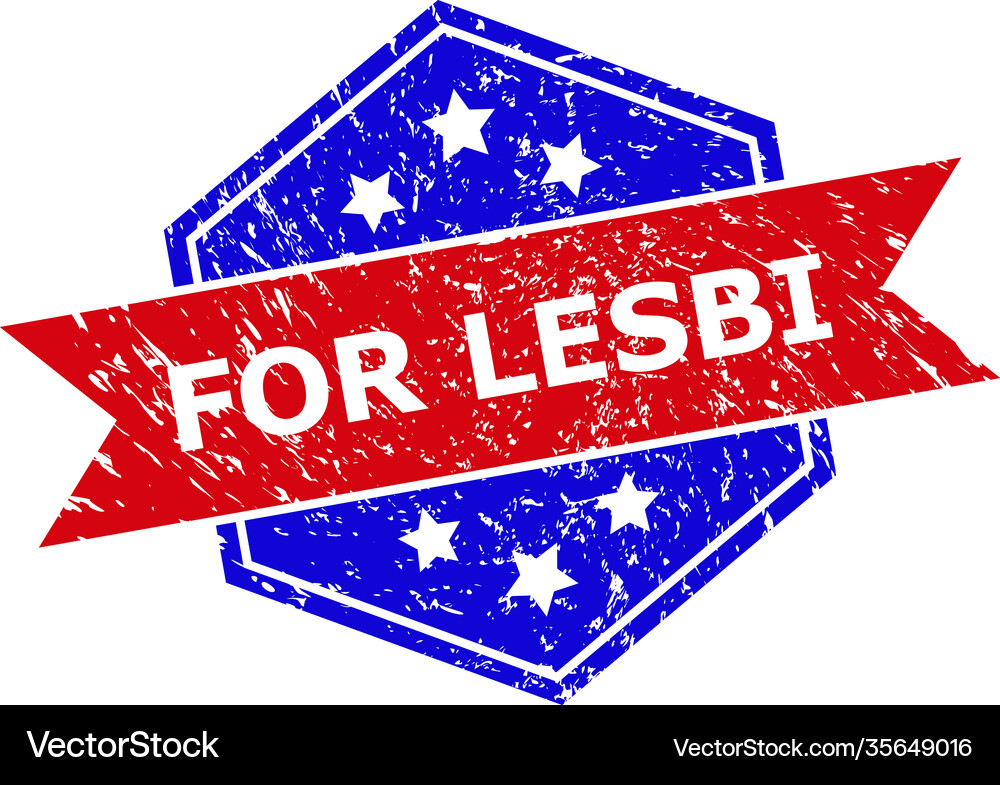 Hexagon bicolor for lesbi watermark with distress Vector Image