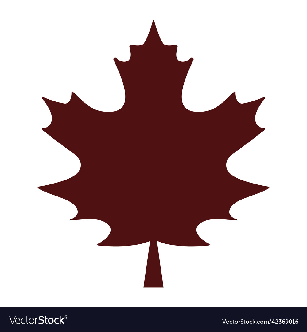 Maple leaf icon Royalty Free Vector Image - VectorStock