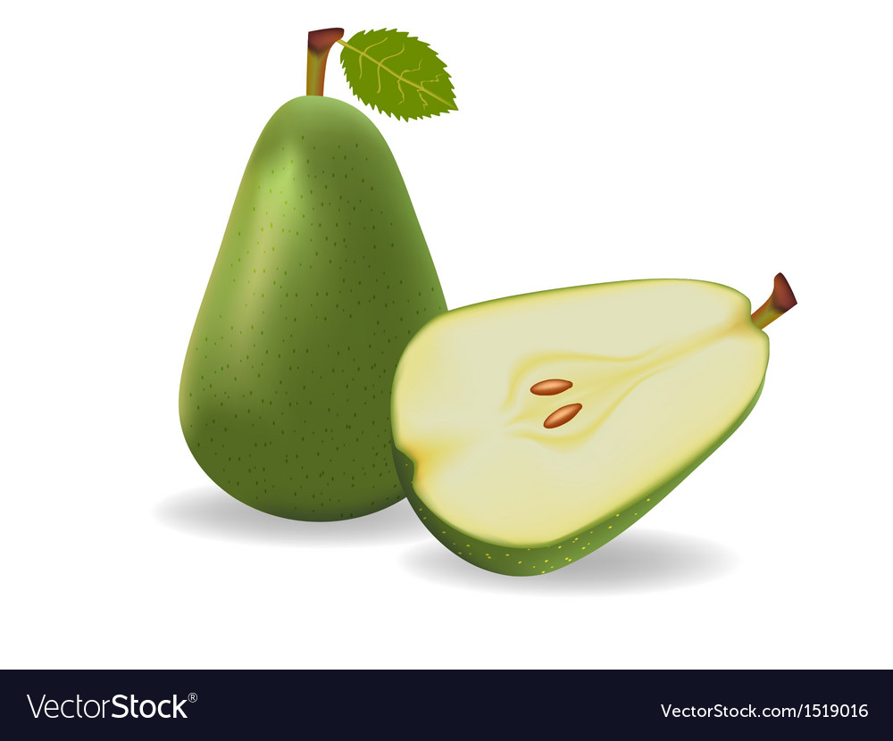 Pear Royalty Free Vector Image - VectorStock