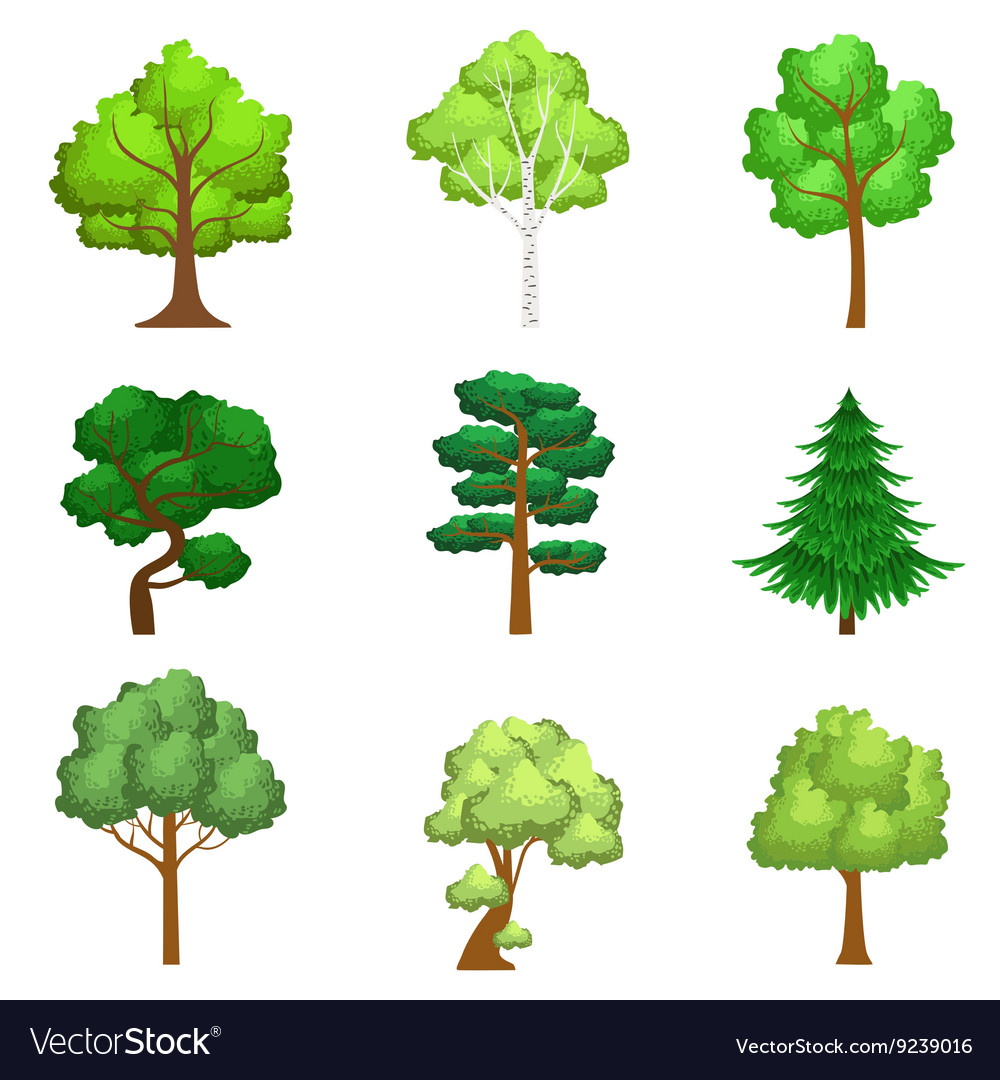 Realistic trees set Royalty Free Vector Image - VectorStock