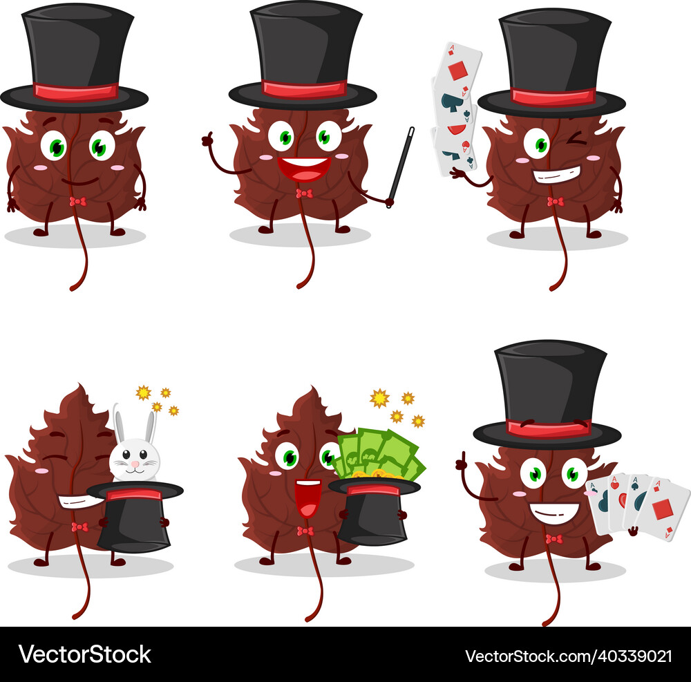 A hawthorn leaf magician cartoon character Vector Image