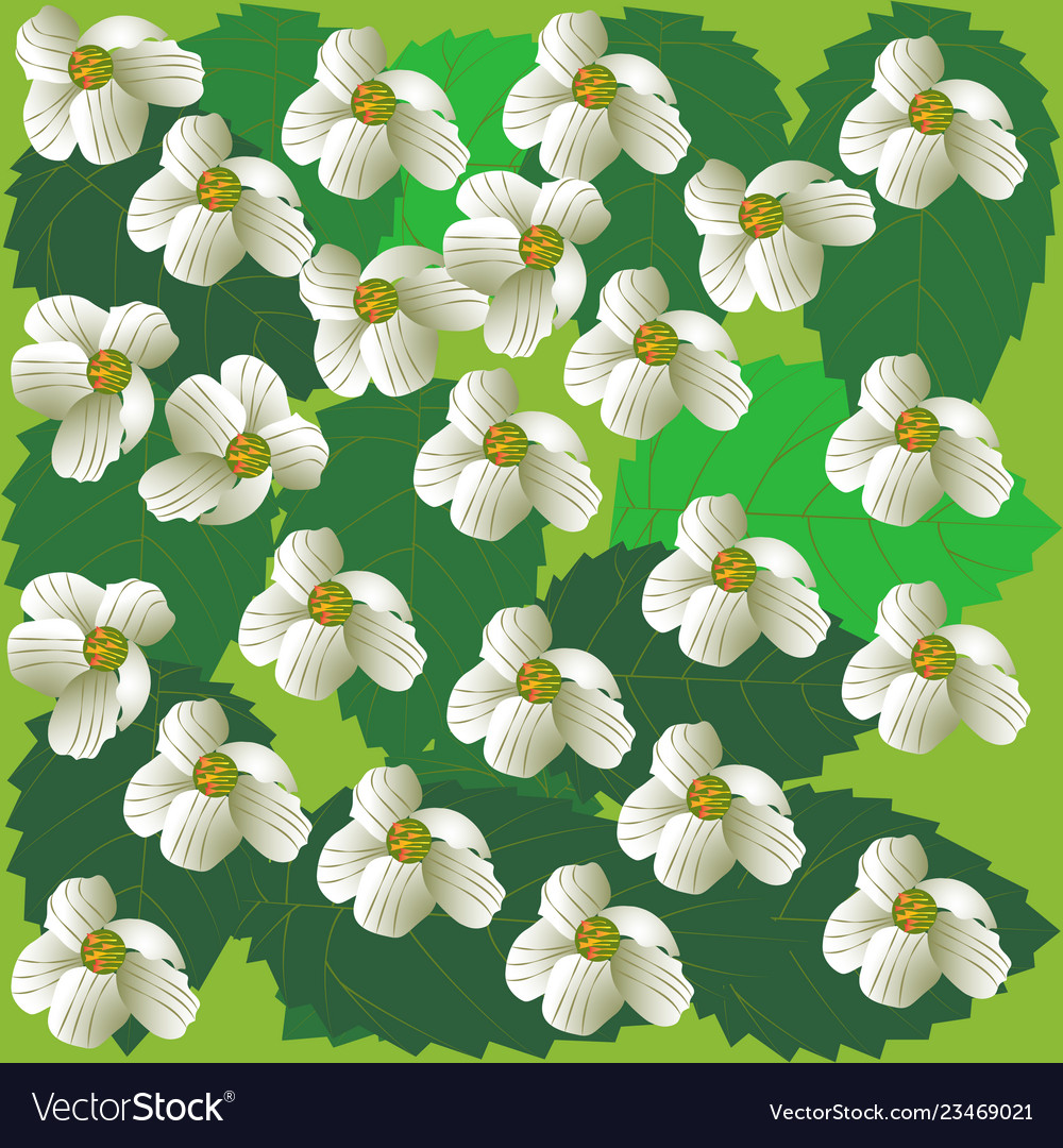 Spring flowers background cherry-tree green Vector Image