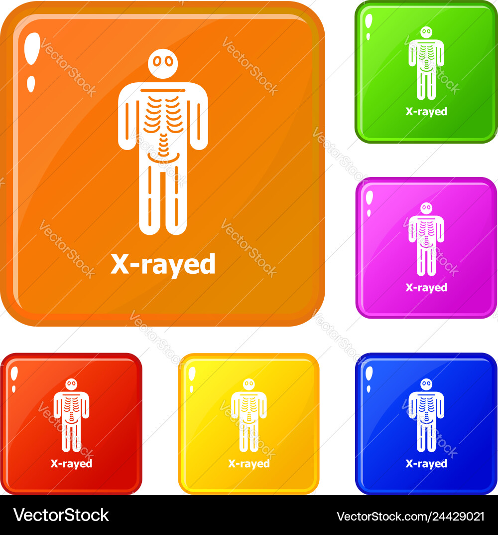 Xray icons set color Royalty Free Vector Image