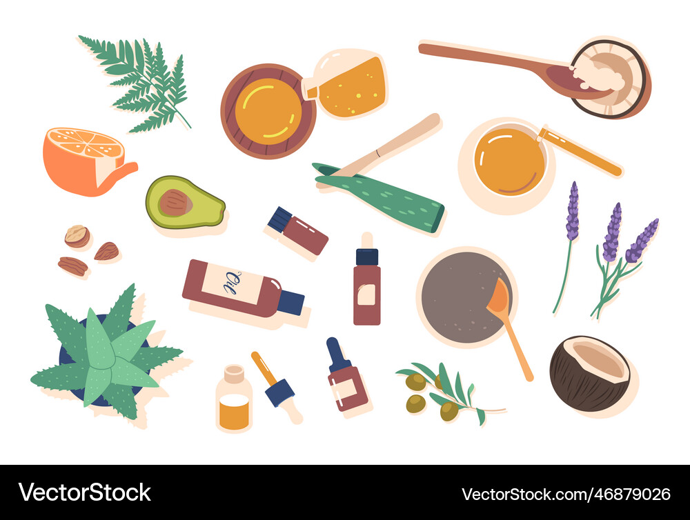Set of items for making natural oils includes Vector Image