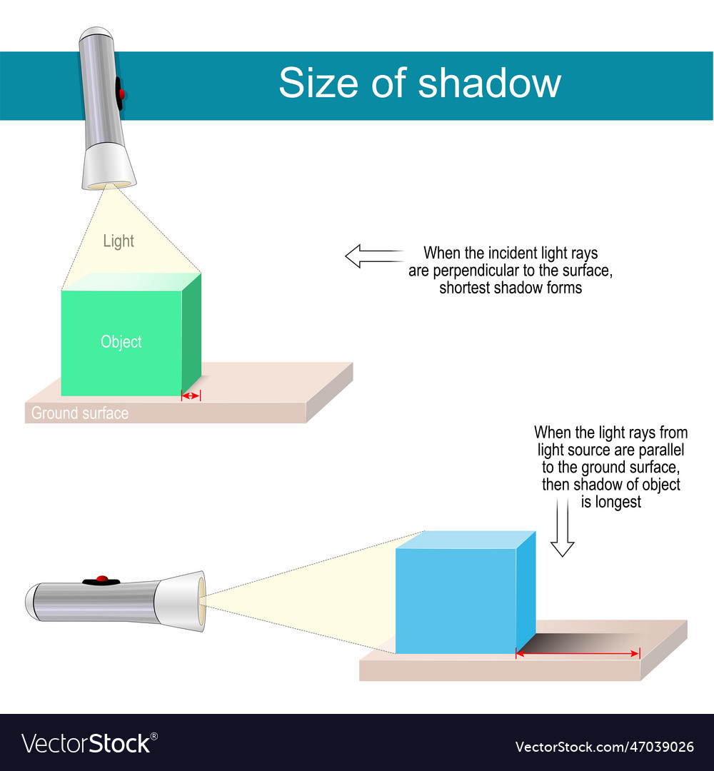 Size of shadow experiment with flashlight and box Vector Image