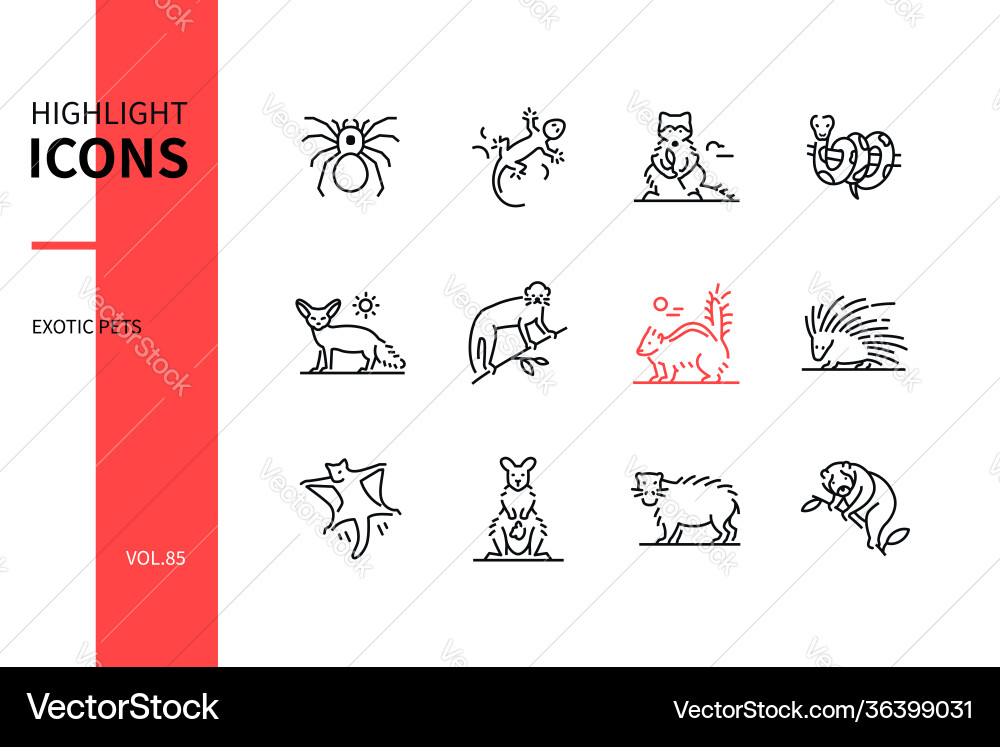 Exotic pets - modern line design style icons set Vector Image