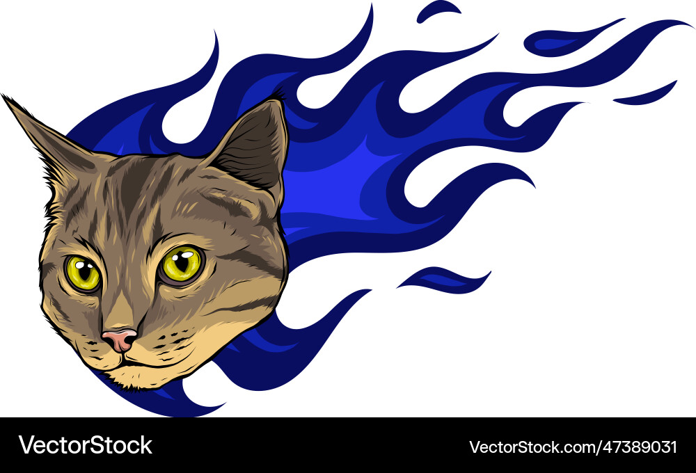 Hand draw of cat head design Royalty Free Vector Image