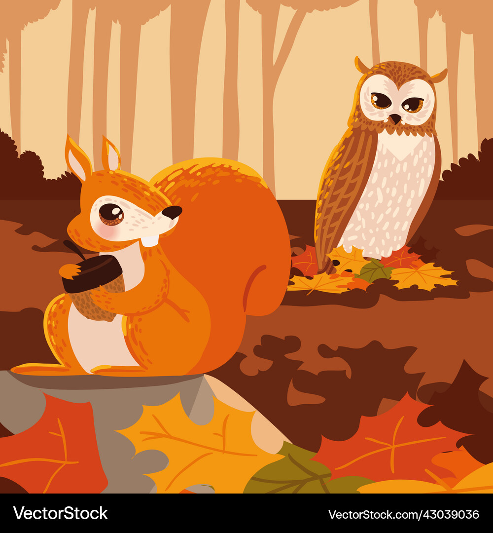 Autumn owl squirrel Royalty Free Vector Image - VectorStock