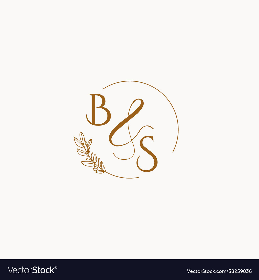 Bs initial wedding monogram logo Royalty Free Vector Image