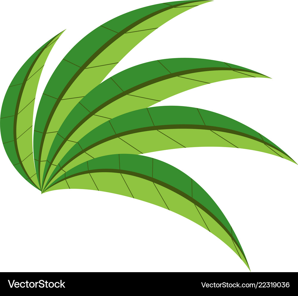 Colorful tropical leaf icon Royalty Free Vector Image