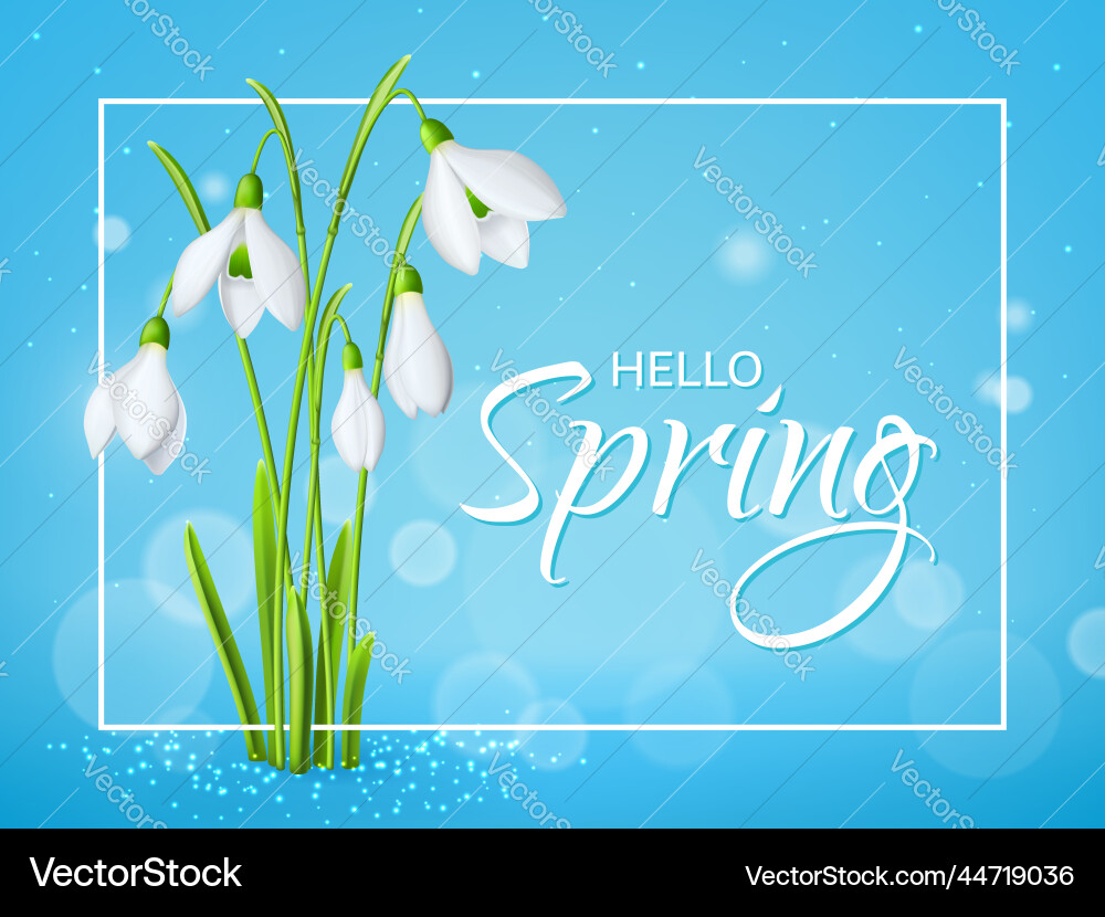 Snowdrop flowers spring season background Vector Image