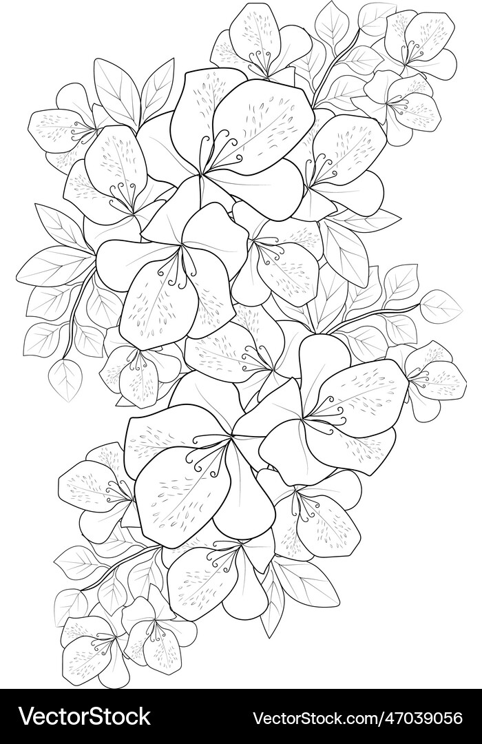 Topical azalea flower bouquet Royalty Free Vector Image