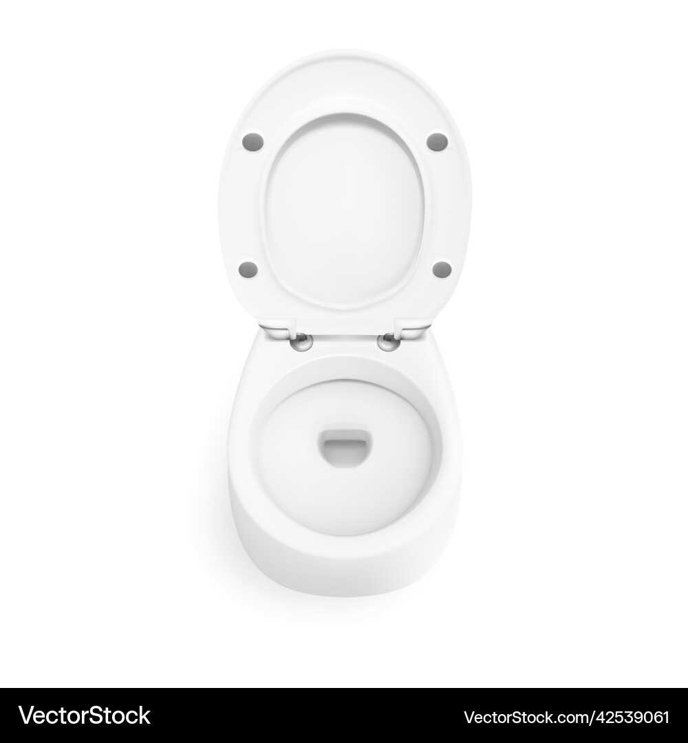 3d realistic white clean toilet on wall Royalty Free Vector