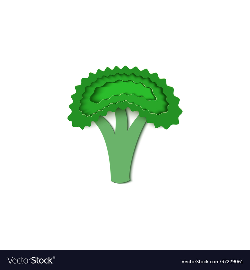 Green broccoli paper cut style origami vegetable Vector Image