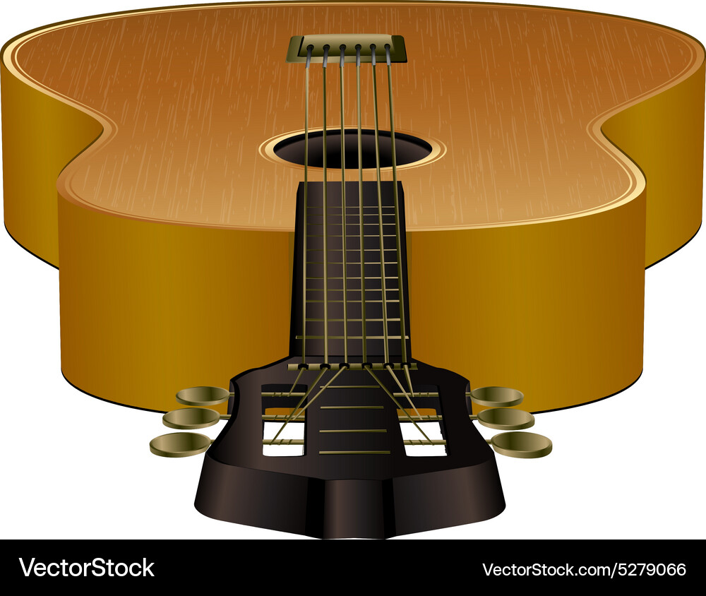 Acoustic guitar in the projection Royalty Free Vector Image